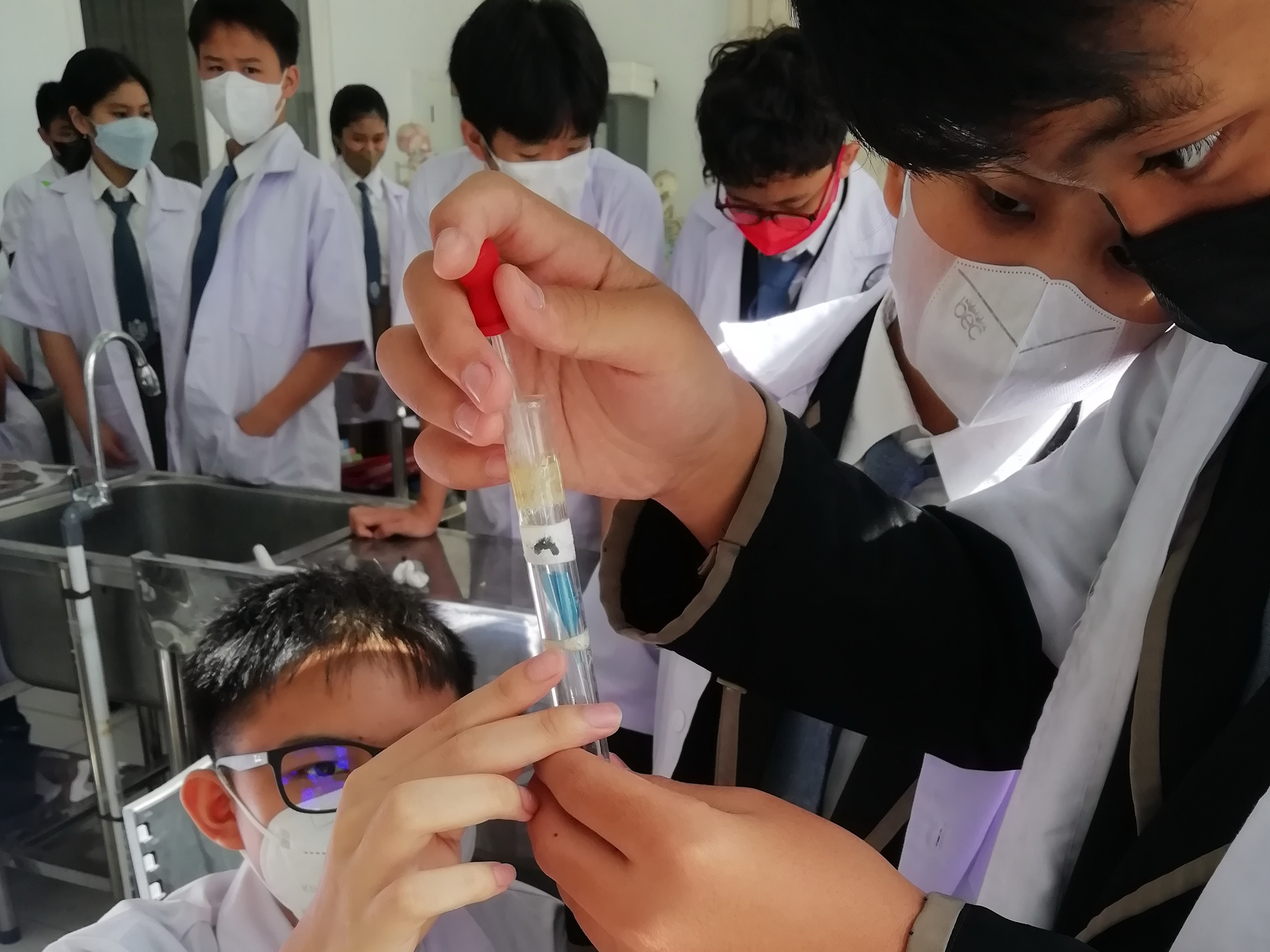 Secondary 2 - Biology : Food Test - Focus Independent School