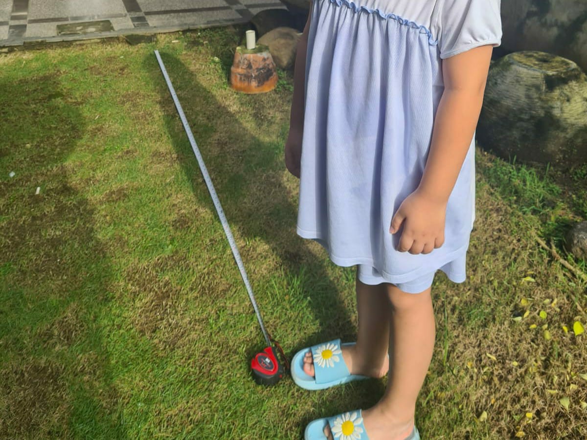 Primary 2 Science Light And Shadow Focus Independent School